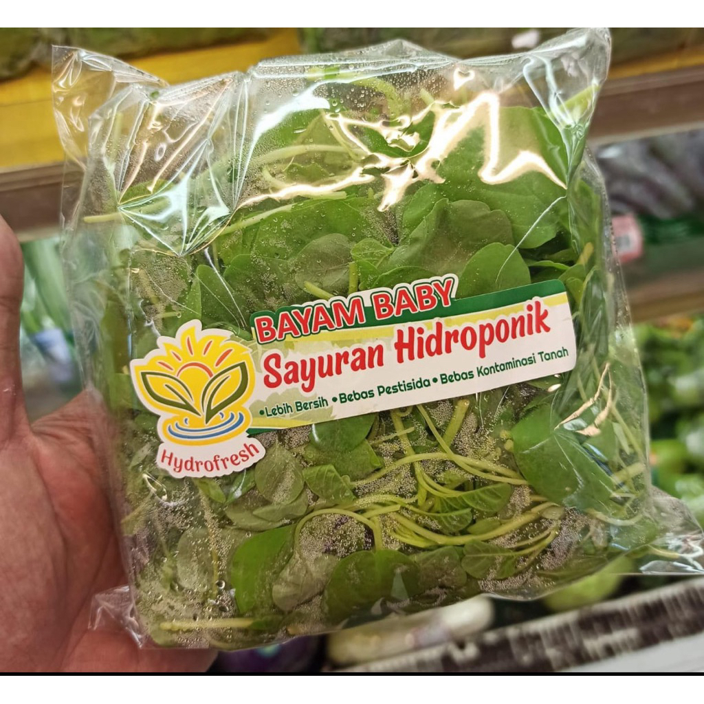 Jual Bayam Baby Hidroponik Fresh / Sayur Baby Bayam / Pack | Shopee ...