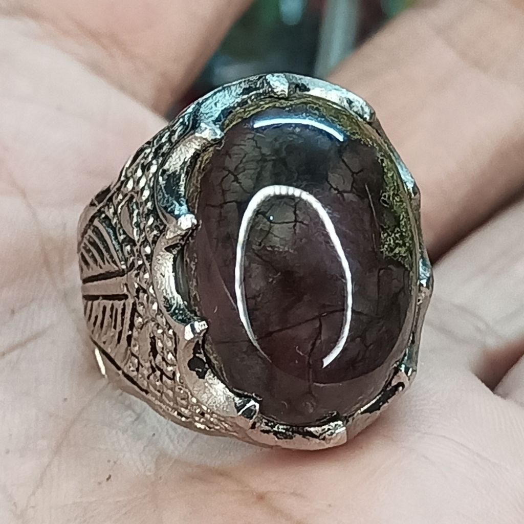 Jual Pirus persia hitam gradasi merah | Shopee Indonesia