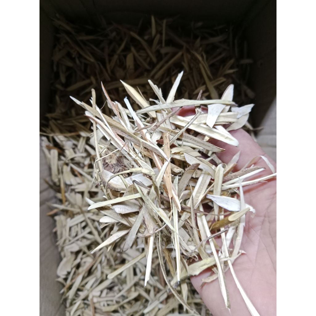 Jual batang pat kua kering / pak kua / patkua /pakkua | Shopee Indonesia
