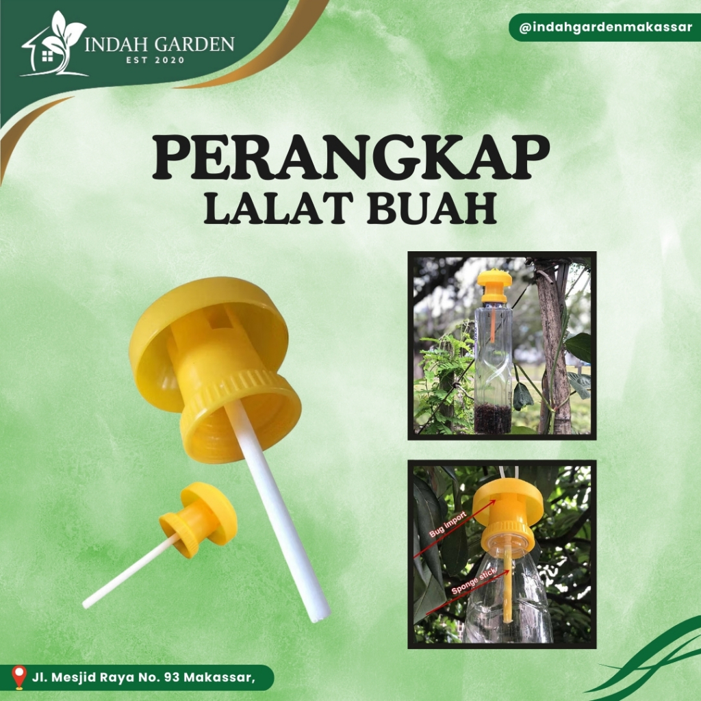 Jual Perangkap Lalat Buah Drosophila - Bahan Plastik - Warna Kuning ...