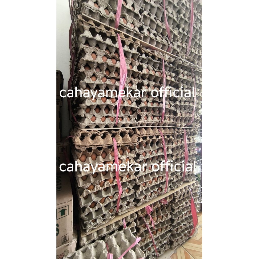 Jual TELUR AYAM NEGERI 1 IKAT ISI 15 KG (KHUSUS GO-SEND) | Shopee Indonesia