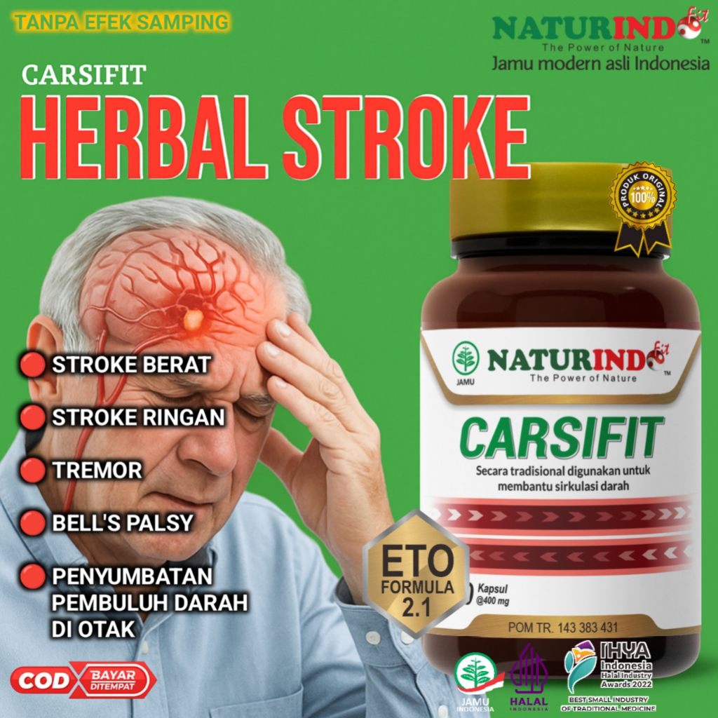 Jual Obat Stroke Struk Herbal Obat Stroke Ringan Berat Lumpuh Menahun ...