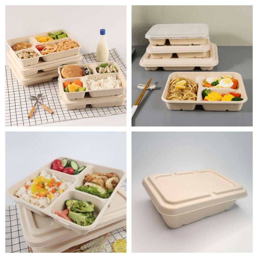 Jual Bento Box Paper Bagasse Food Box Eco Friendly Kotak Makan Ramah Lingkungan Sekat 3 dan 4 ...