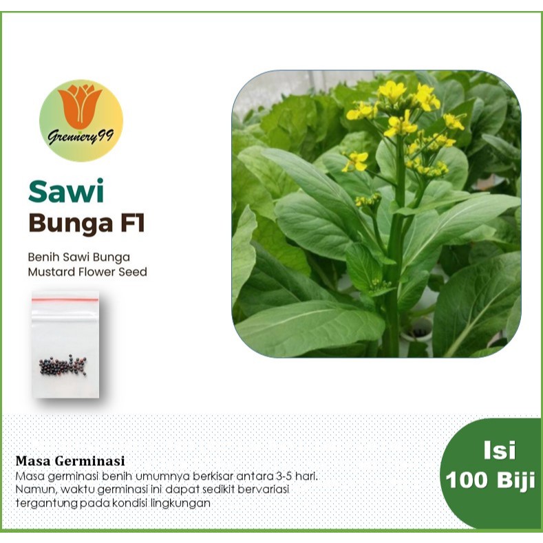 Jual Benih Sayuran Sawi Bunga Unggul | Shopee Indonesia