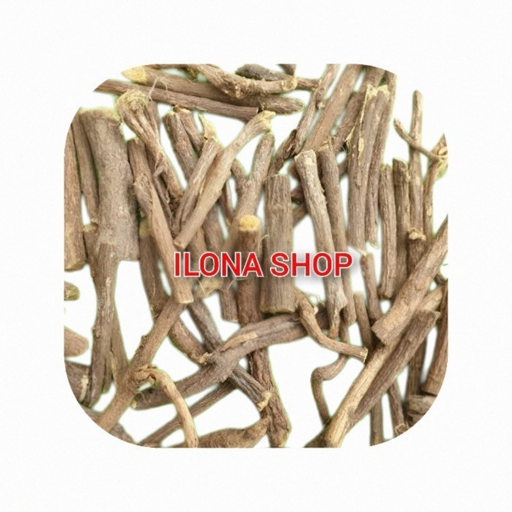 Jual AKAR MANIS KERING HERBAL LICORICE KAYU LEGI BATANG LIQUORICE ASLI ...