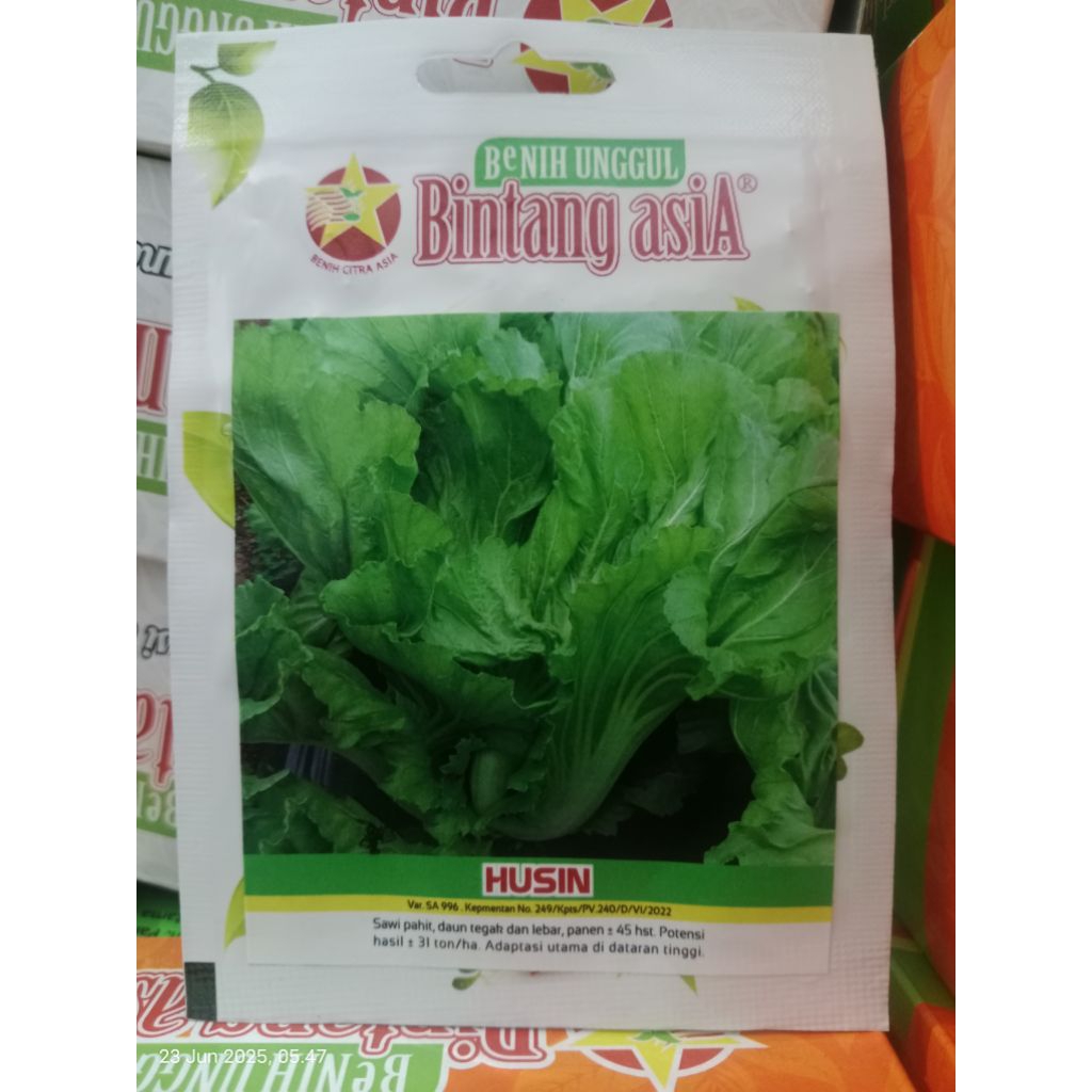 Jual Benih Biji Sawi Pahit green mustard Sawi Pahit HUSIN Cap Bintang ...