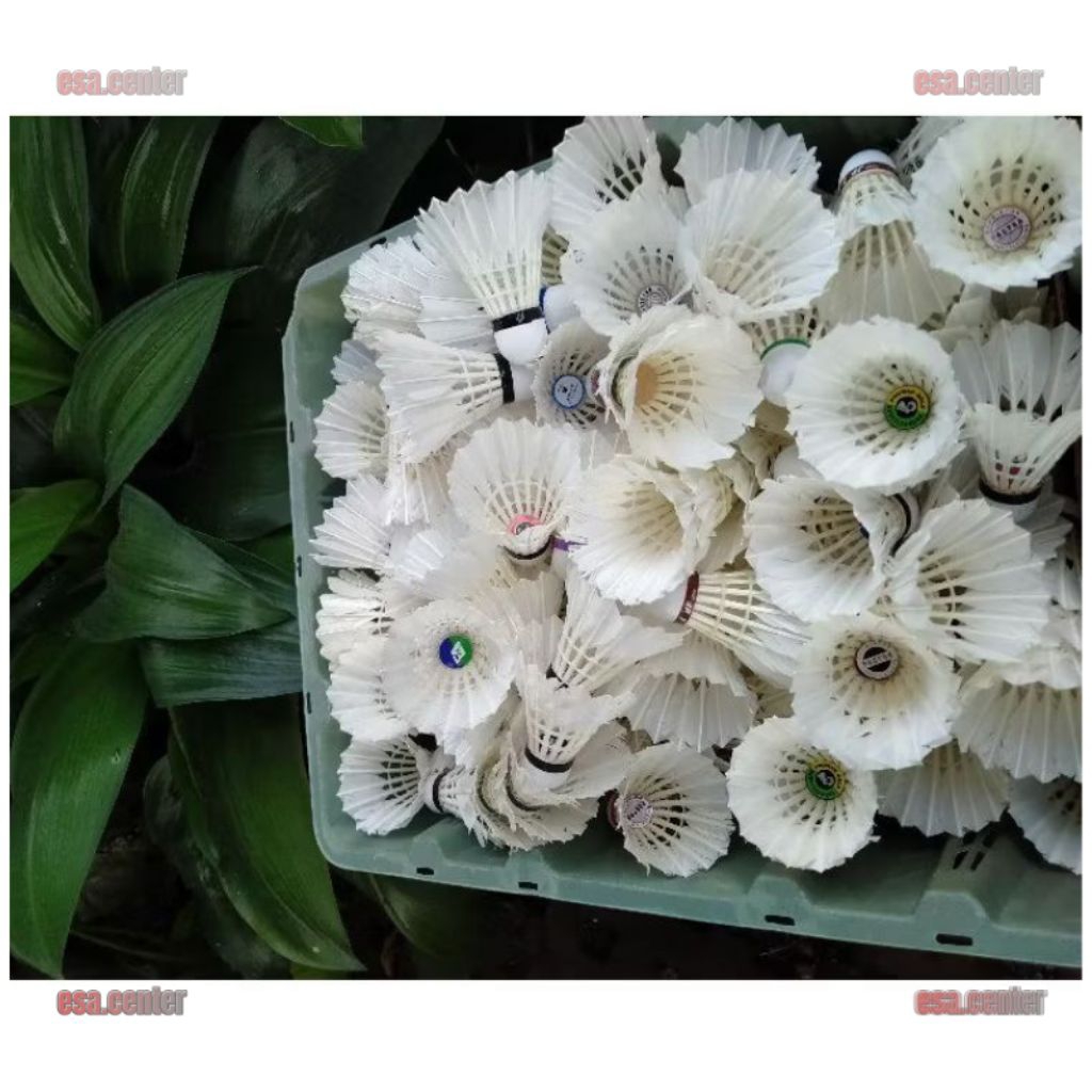 Jual Shuttlecock Terlengkap & Harga Terbaru Mei 2026 | Shopee Indonesia