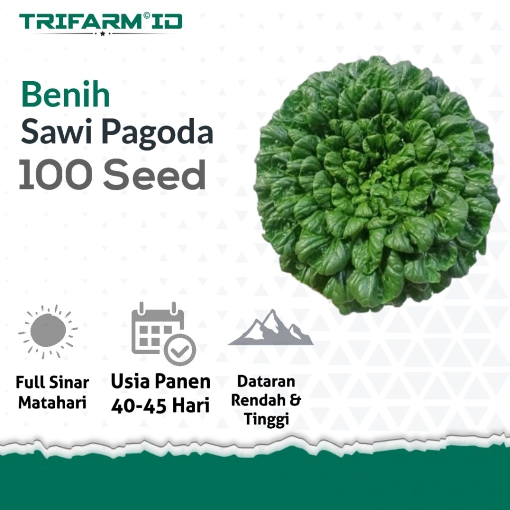 Jual TRIFARM 100 Biji Benih Bibit Sawi Pagoda Ta Ke Cai Repack Kemasan Ziplock | Shopee Indonesia