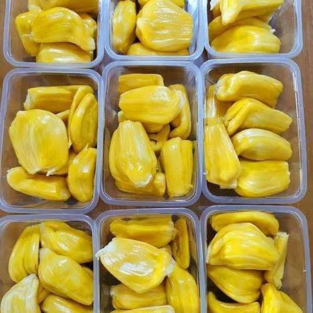 Jual Buah Nangka 1 Pack 200-250 Gr | Shopee Indonesia