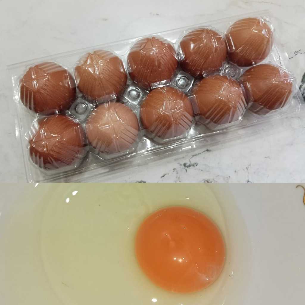 Jual Telur Ayam Negeri telur ayam horen/ telur ayam Ras Fresh | Shopee ...