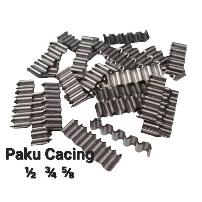 Jual Paku Cacing Triplek untuk Sambungan Triplek | Shopee Indonesia