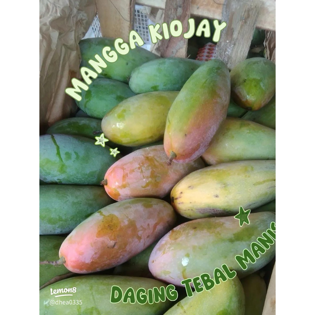 Jual MANGGA KIOJAY 1 kg isi 2 biji manis segar | Shopee Indonesia