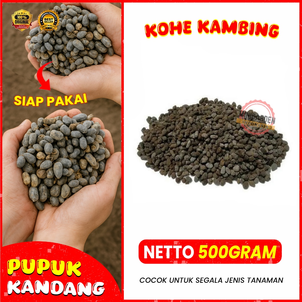 Jual PUPUK KANDANG KOHE KAMBING 500 GRAM PUPUK ORGANIK HUMUS TANAMAN ...