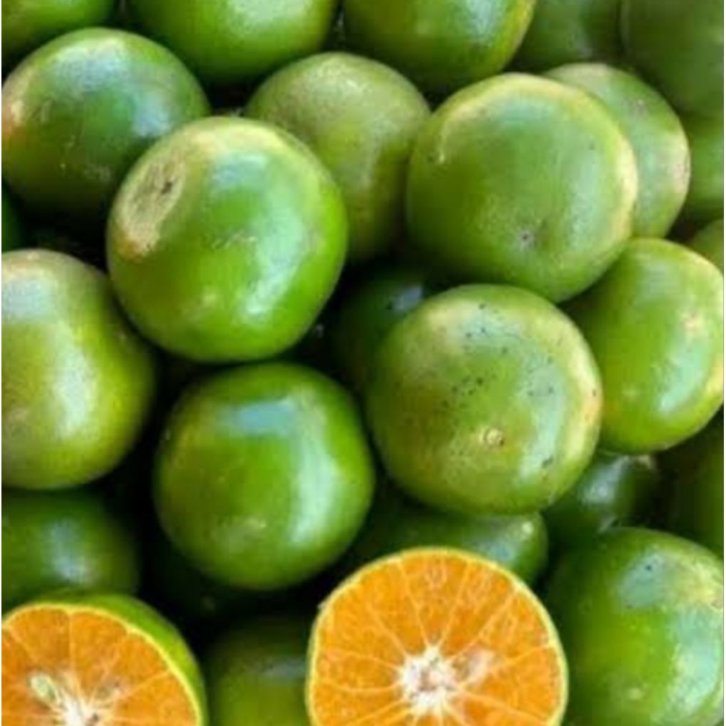 Jual Buah Jeruk Peras FRESH "PREMIUM JEMBER "kemasan 1kg | Shopee Indonesia