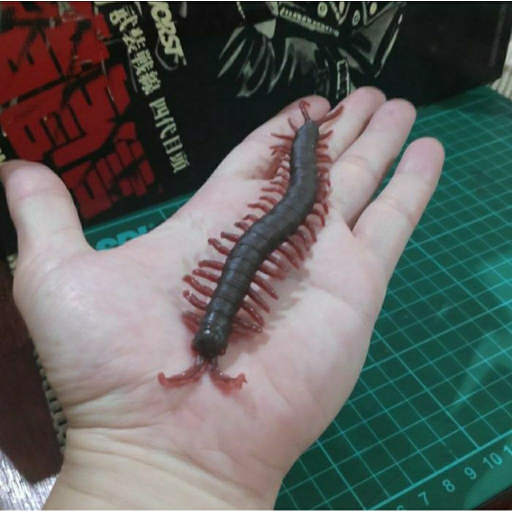 Jual miniature animal insect - centipede | Shopee Indonesia