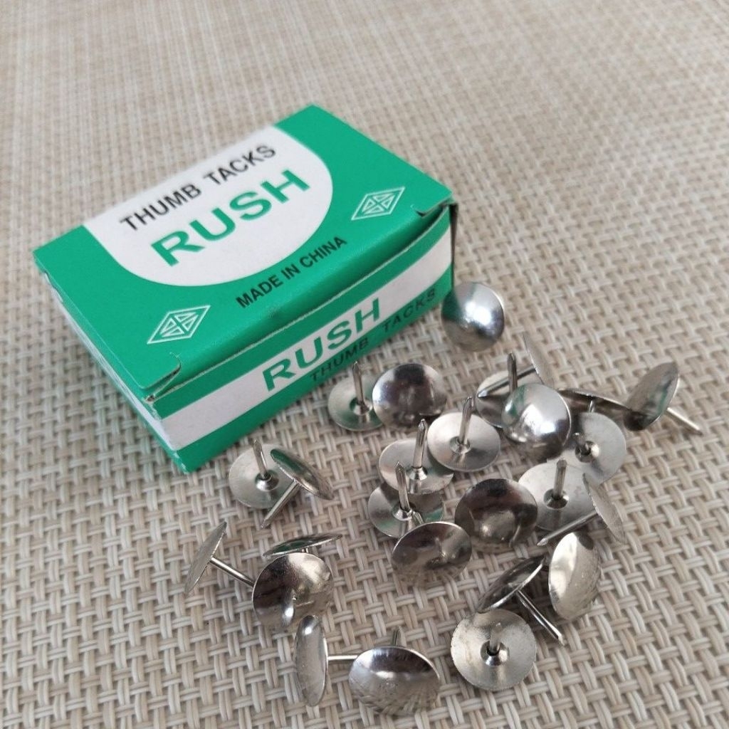 Jual Paku Payung / Pinus RUSH | Shopee Indonesia