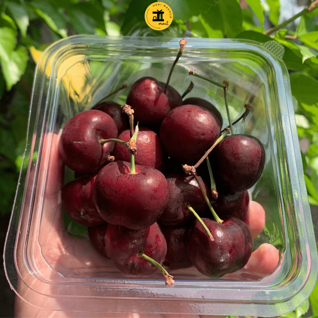 Jual FRESH CHERRY IMPORT FROM CALIFORNIA USA 250 GRAM | CERI SEGAR ...