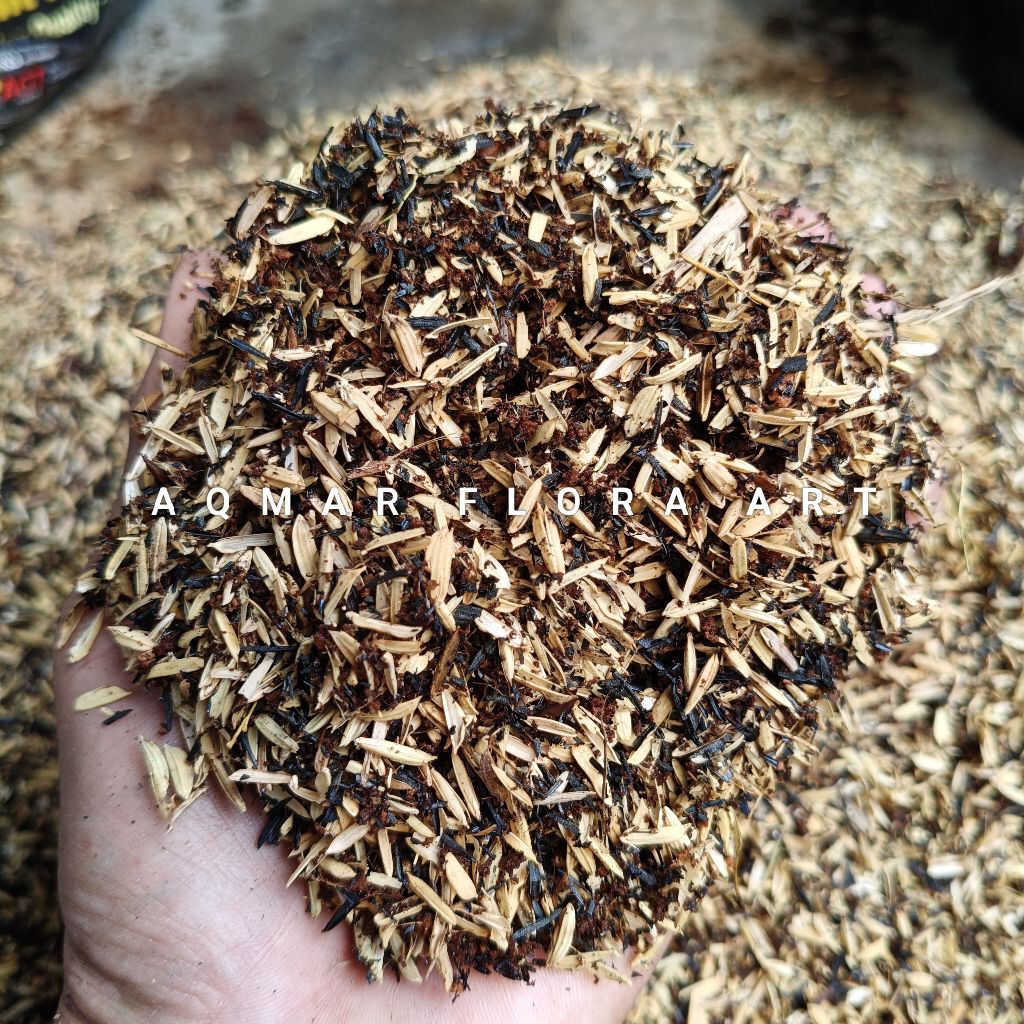 Jual Media Tanam Racikan 1Kg Cocok Untuk Segala Jenis Tanaman | Shopee ...