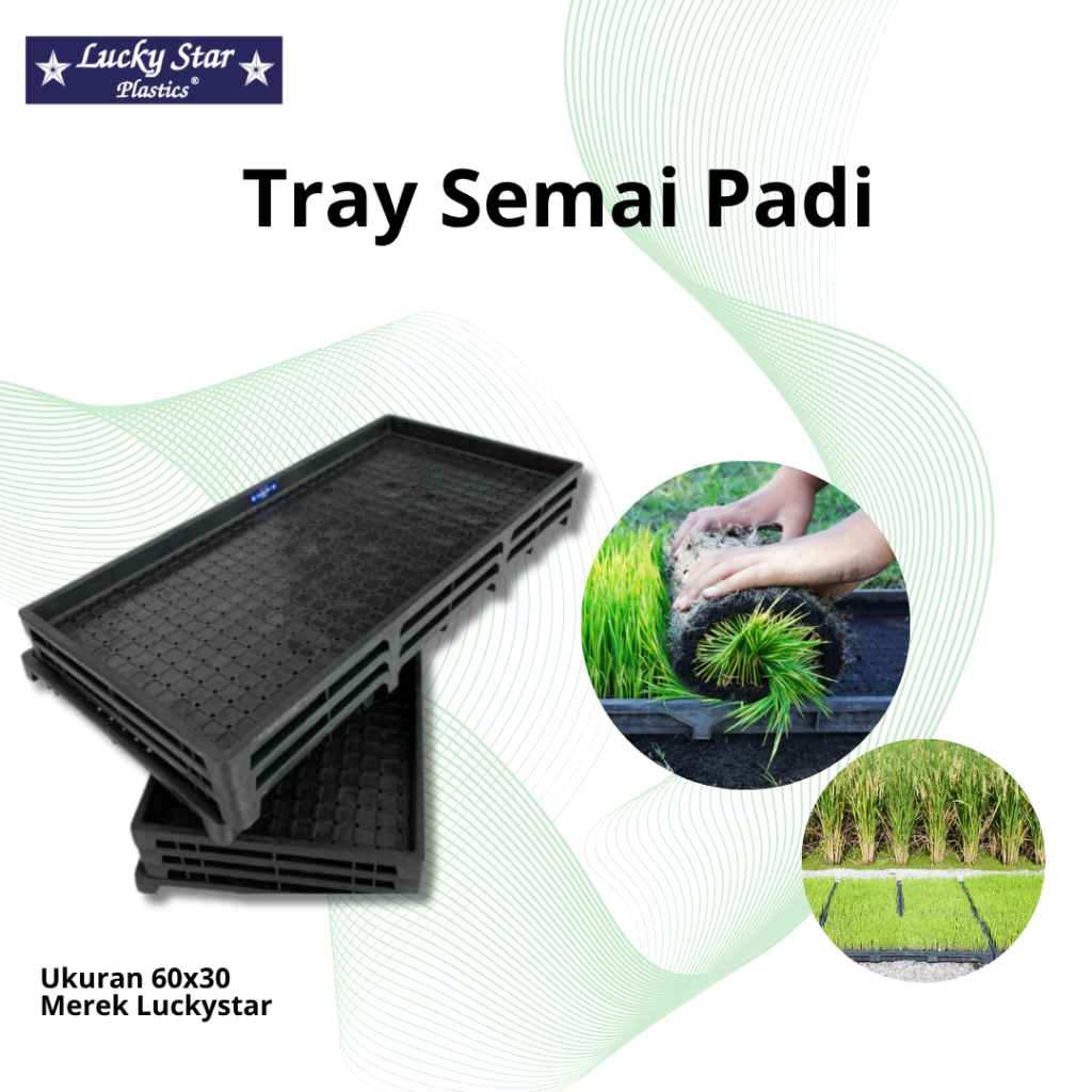 Jual Tray Semai Padi Lukystar Original-Tray Khusus Padi Tebal Merek ...