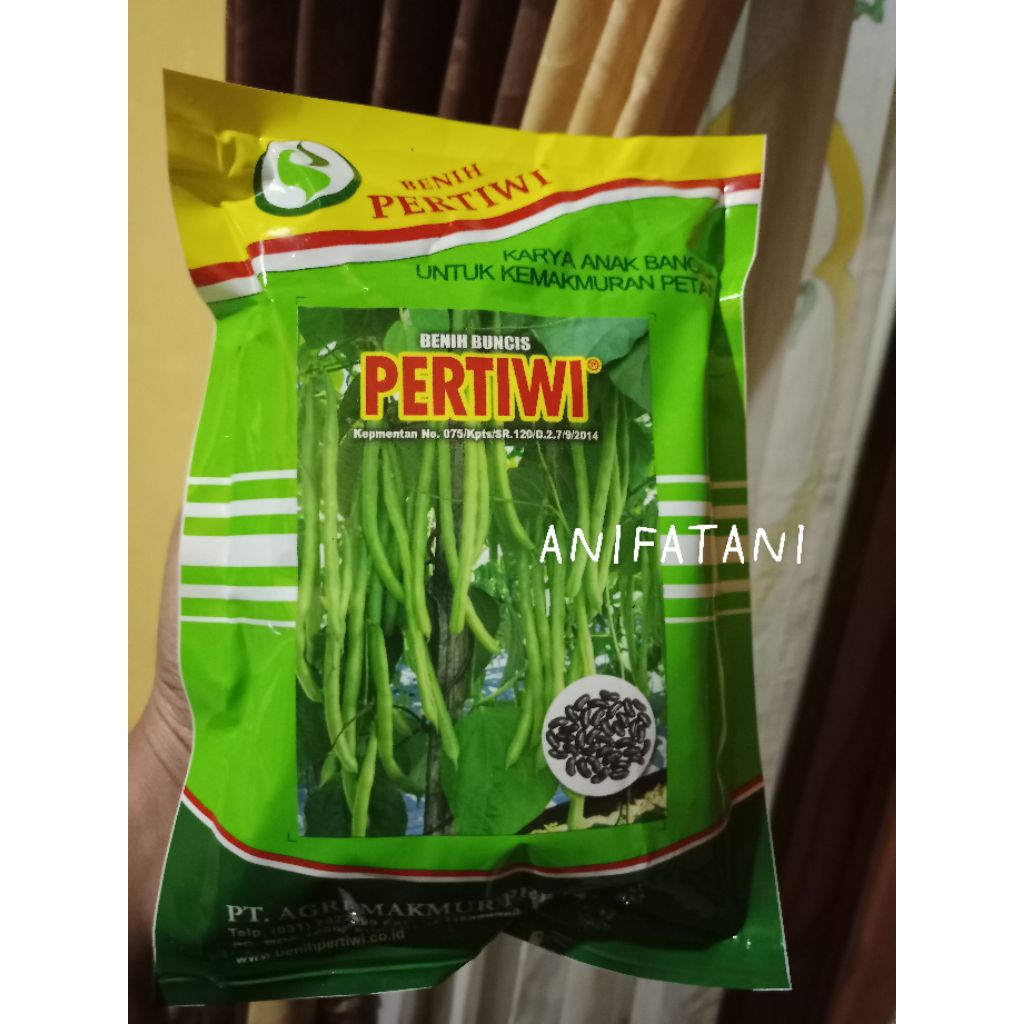 Jual benih buncis pertiwi 500g(exp 2026) | Shopee Indonesia