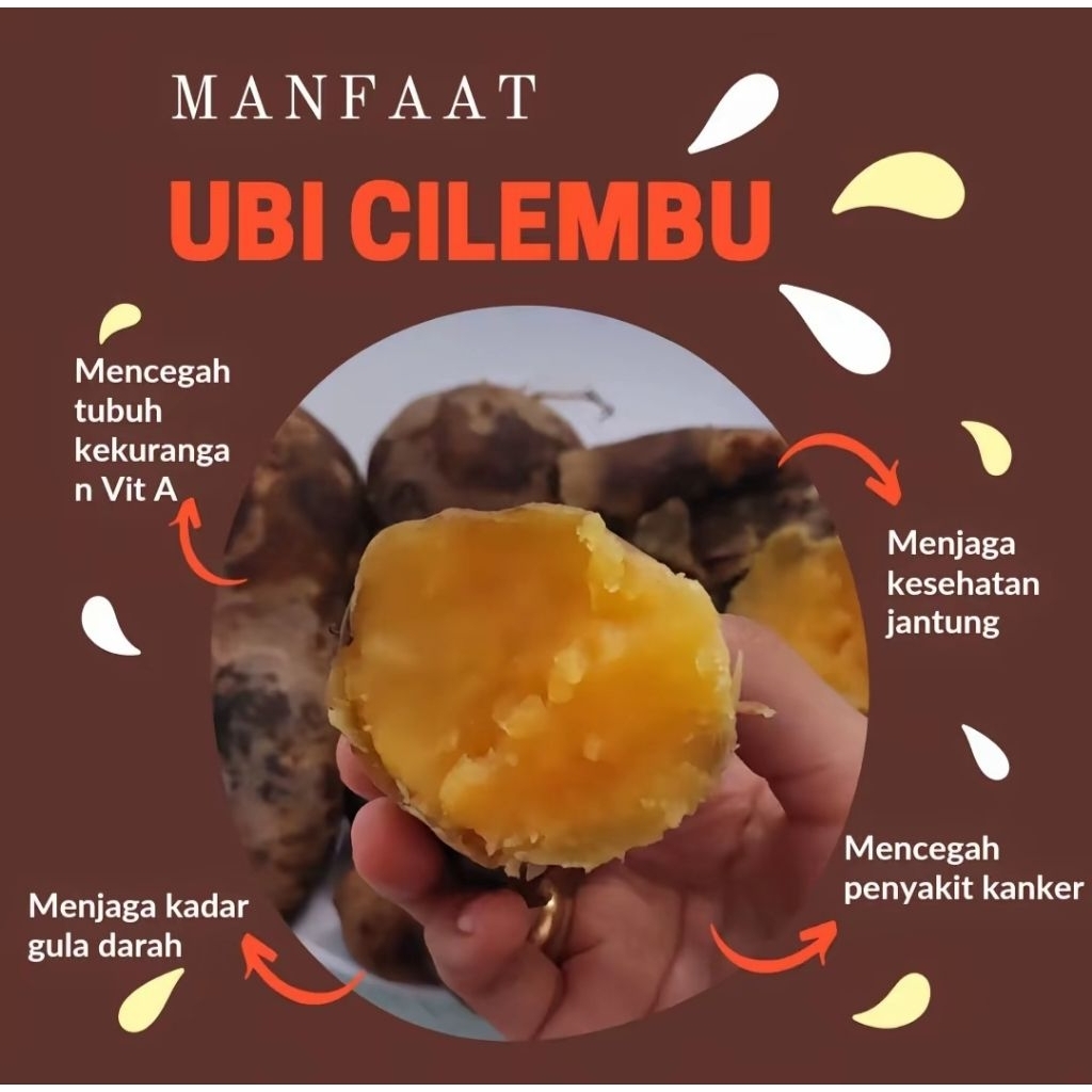 Jual Ubi Madu Cilembu Terlengkap & Harga Terbaru Juni 2026 | Shopee ...