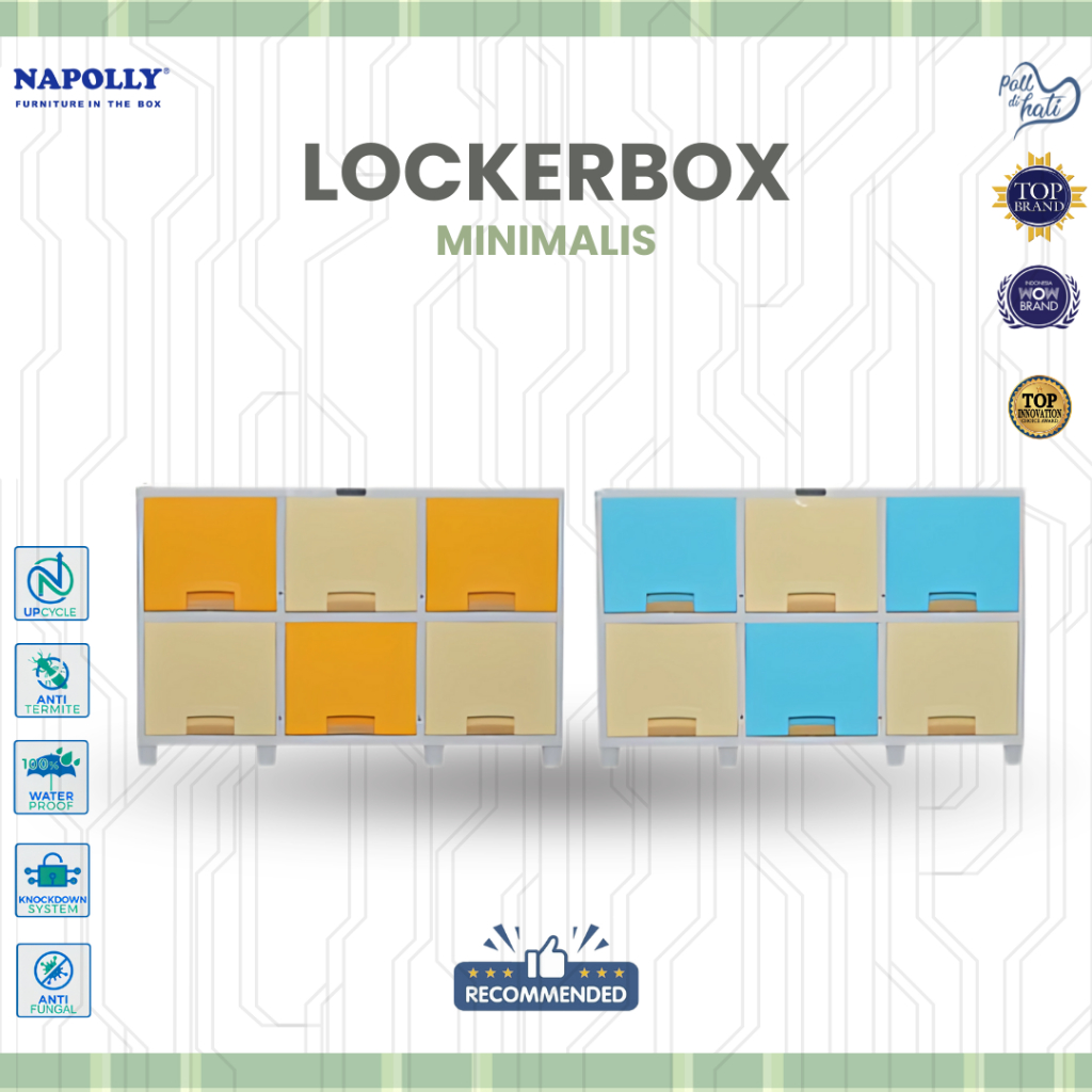Jual LOCKERBOX SERBAGUNA RAK SEPATU 6 RUANG 2 SUSUN + SEKAT BY NAPOLLY | Shopee Indonesia