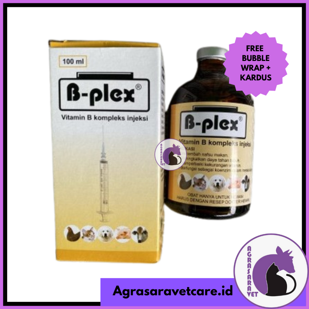 Jual B Plex 100 Ml Pyridam Vitamin B Kompleks Injeksi 100 Ml | Shopee ...