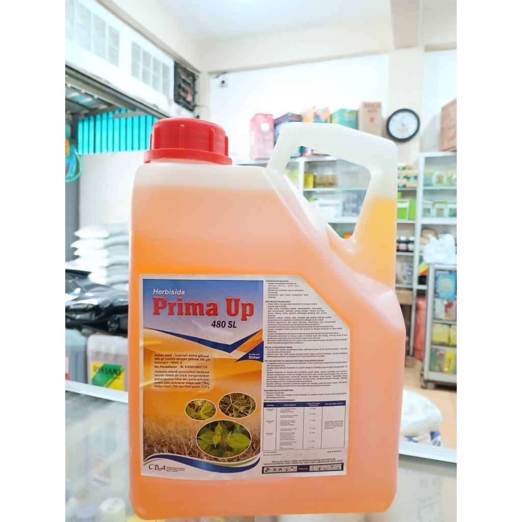 Jual Prima Up 480SL 5 Liter - Herbisida Racun Rumput Sistemik | Shopee ...