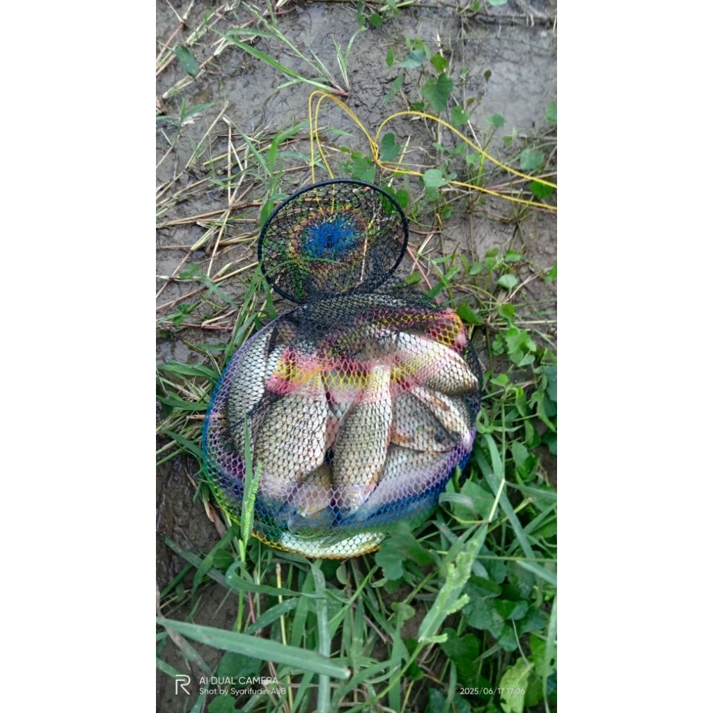 Jual waring ikan Koja ikan mancing | Shopee Indonesia