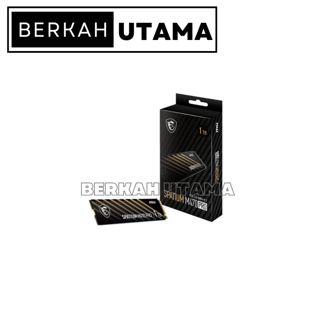 Jual MSI SPATIUM M470 PRO 1TB PCIE 4.0 NVMe M.2 2280 PCIE GEN4 x4 | Shopee Indonesia