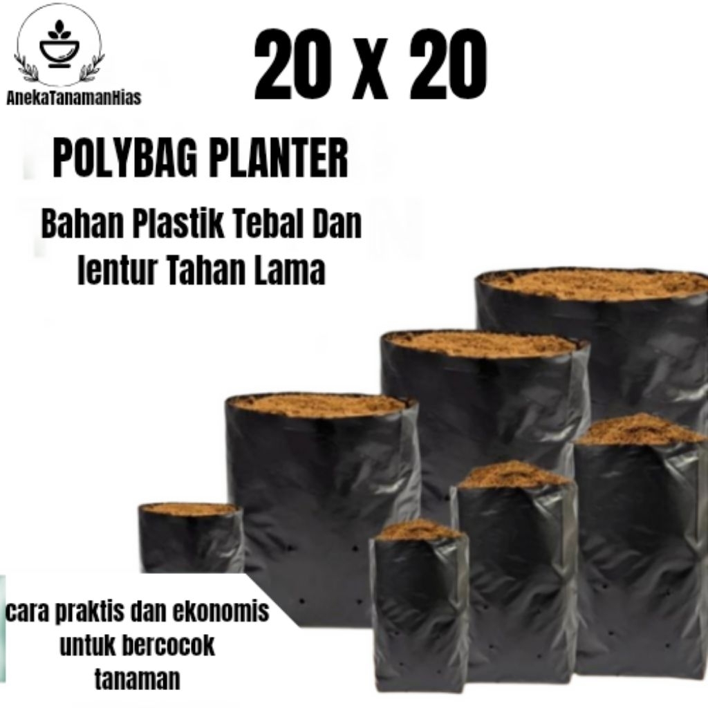 Jual PROMO Terbaik 100 Lembar Polibag Ukuran 20x20 Polybag Cocok Untuk ...