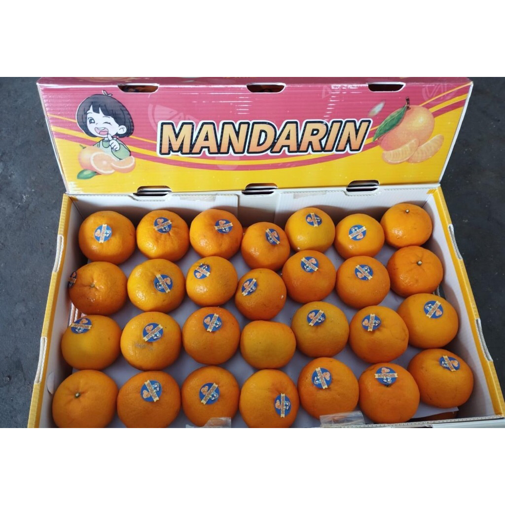 Jual Jeruk Wokam Mandarin Wonderfruit /kg | Shopee Indonesia