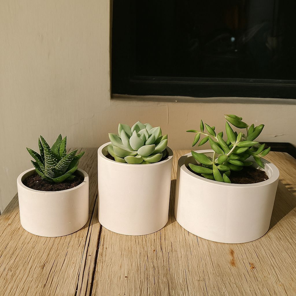 Jual POT BULAT 3 TYPE UKURAN | Shopee Indonesia