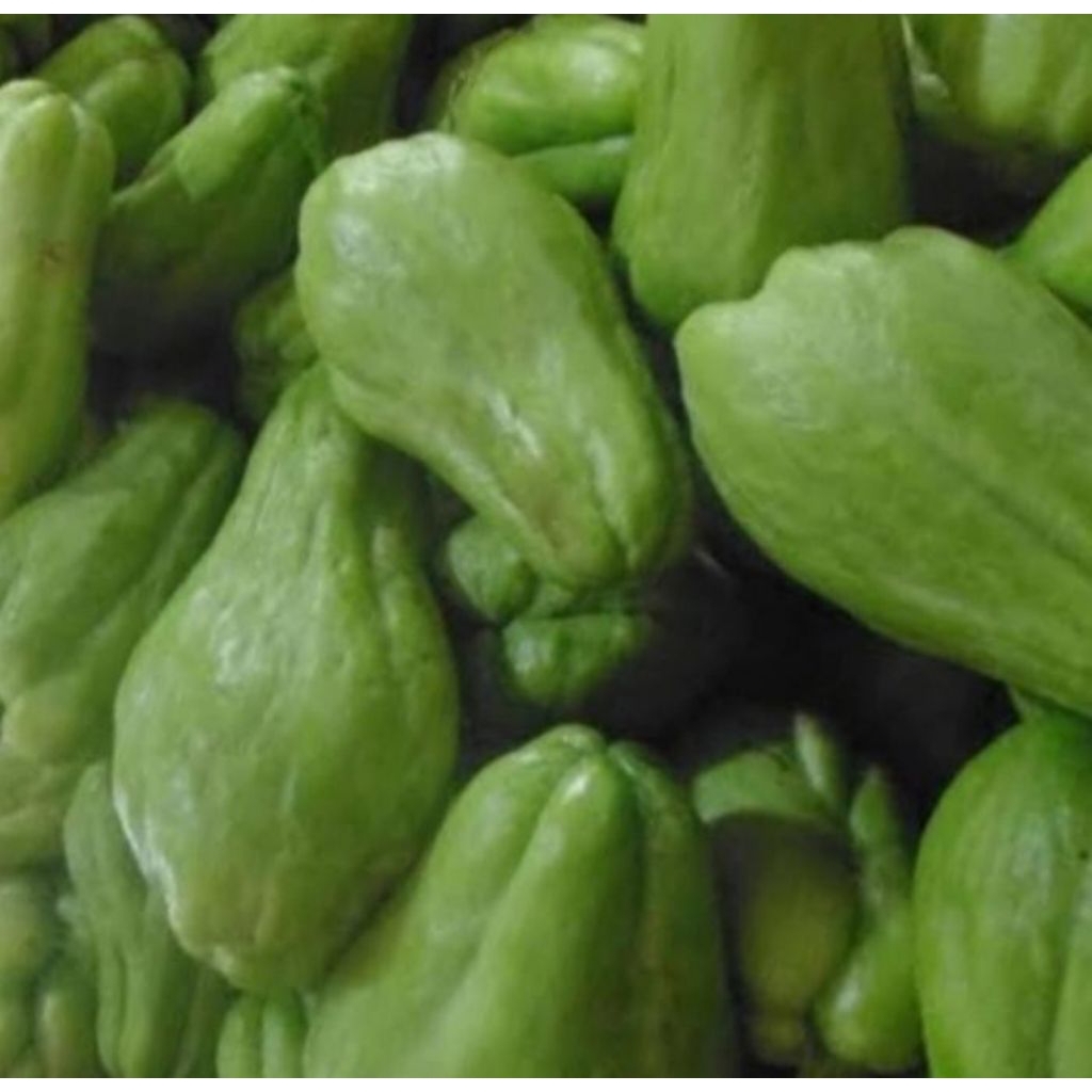 Jual labu siam muda 1 kg | Shopee Indonesia