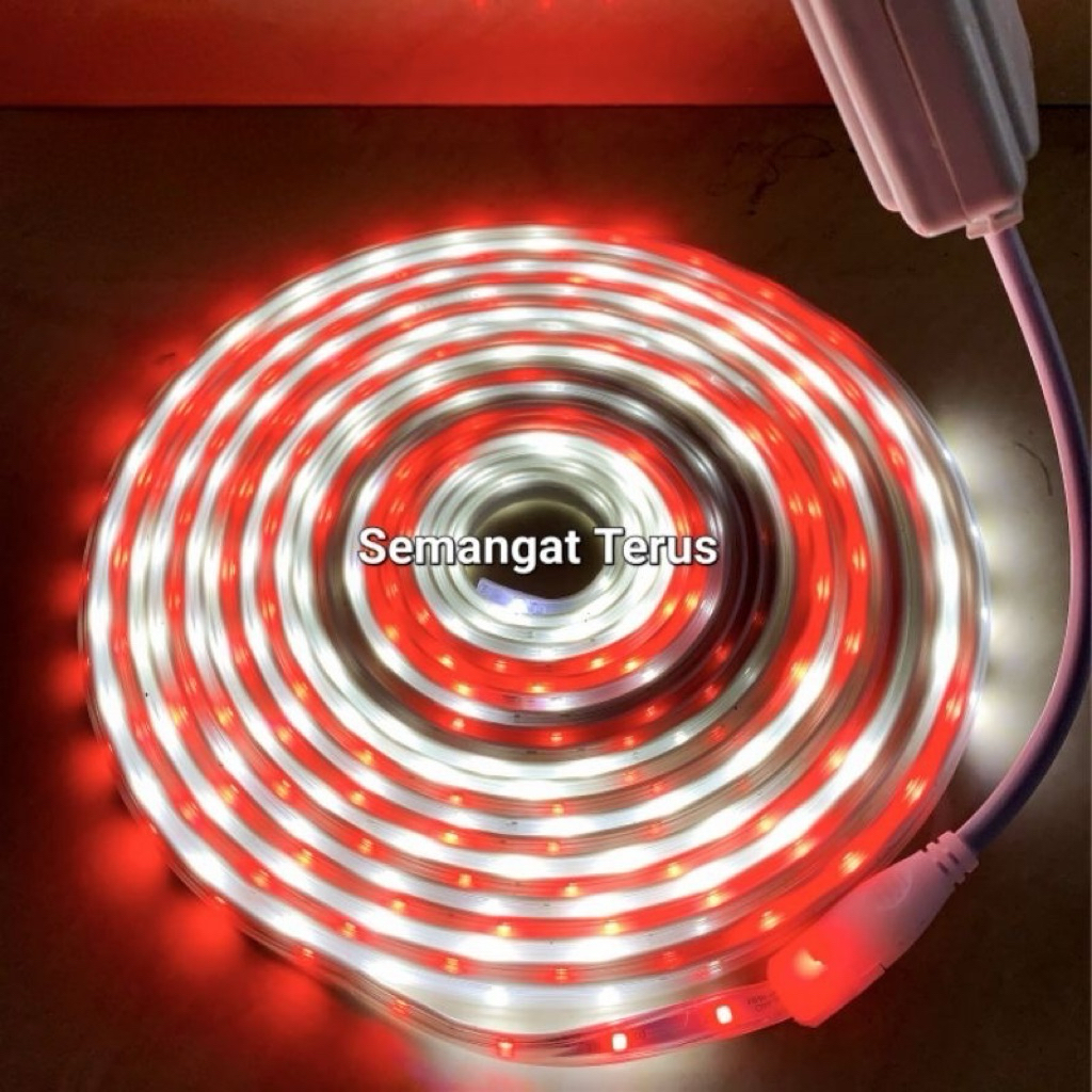 Jual Lampu LED Strip Outdoor Merah Putih 10Meter Termasuk Adaptor 220V ...