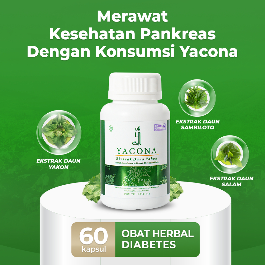 Jual Obat Gula Darah Tinggi Diabetes Herbal Yacona Kapsul Yakona ...