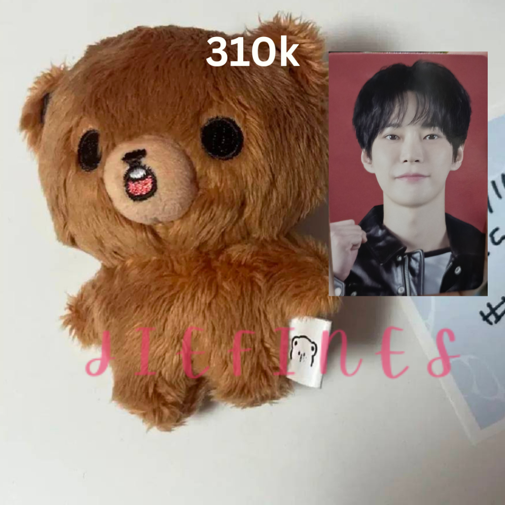 Jual siap kirim doll haechan gomdo lee 10 cm photocard doyoung nct ...