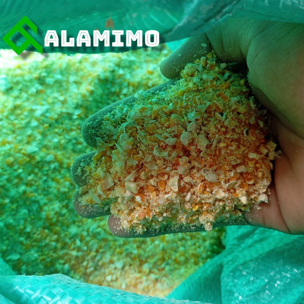 Jual JAGUNG GILING PECAH BERSIH pakan ayam burung pakan ternak campuran ...