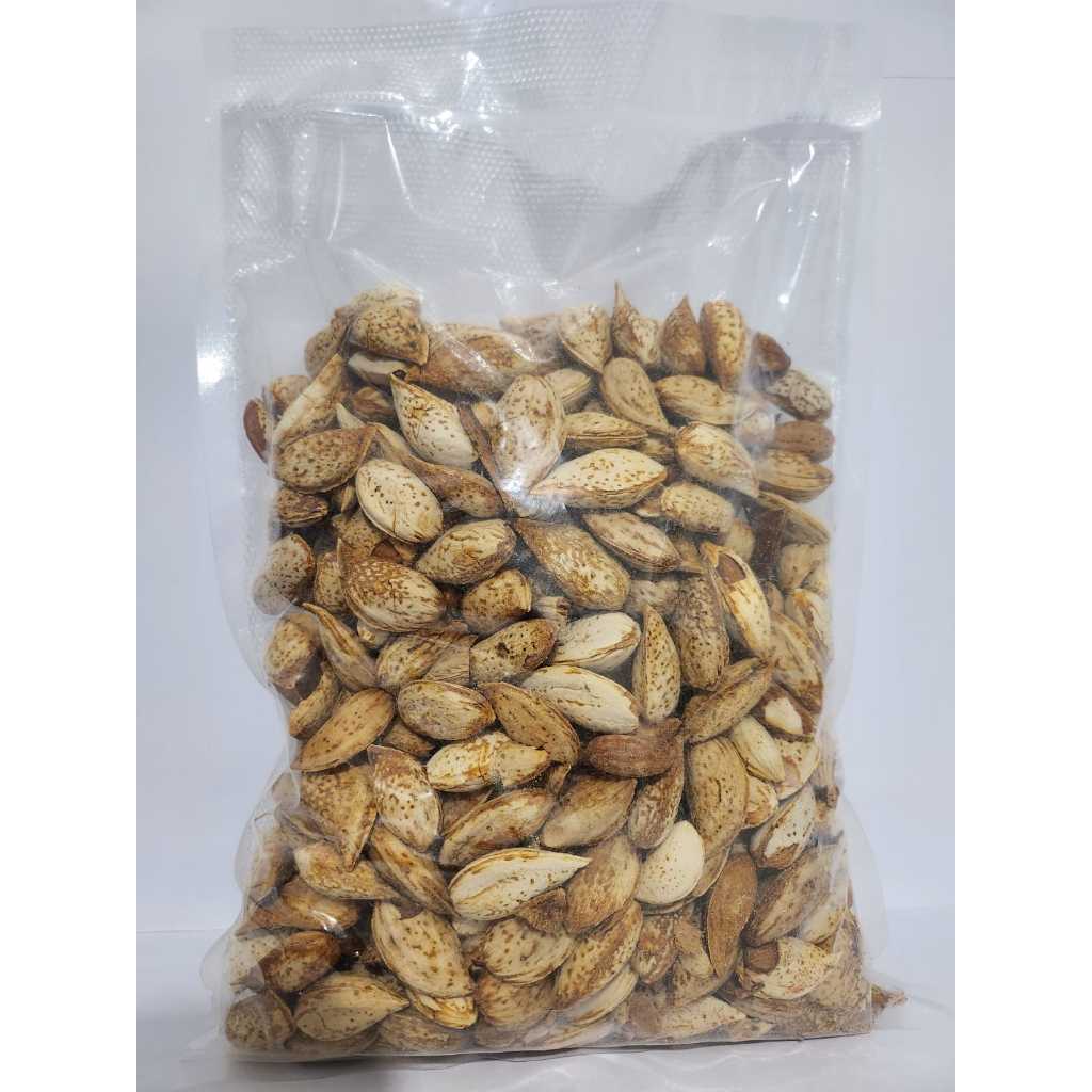 Jual Almond Cangkang Original | Almond In Shell Panggang Asin Gurih ...