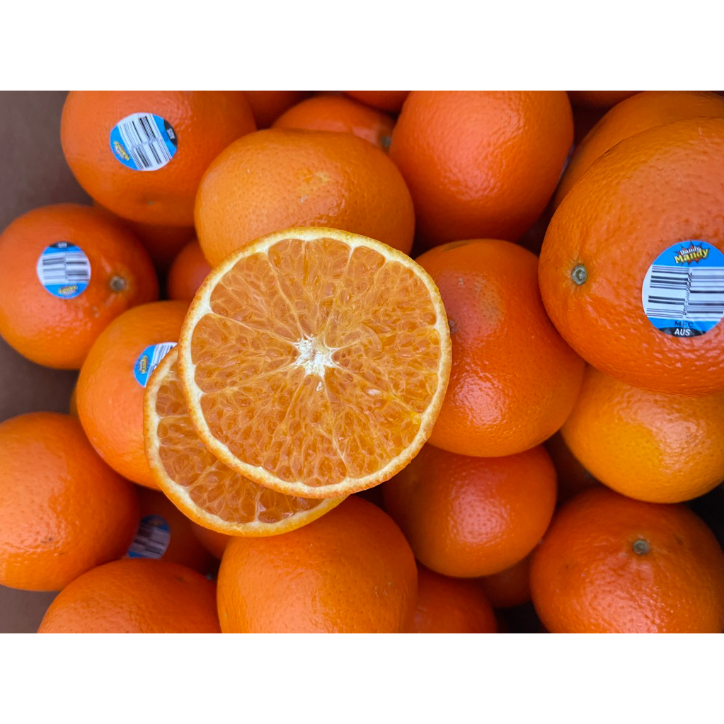 Jual Jeruk Dandy Mandy Seedless | Shopee Indonesia