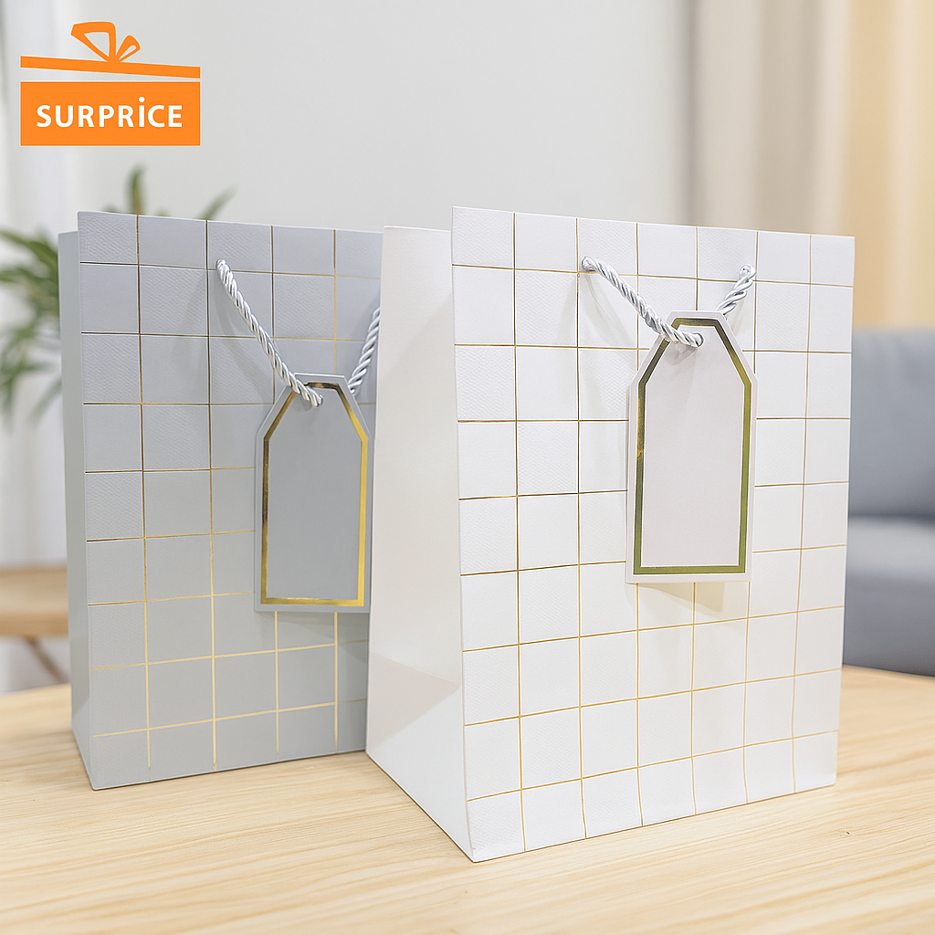 Jual Surprice Paper Bag Tali Kotak 18x23 / Paperbag Kartu Ucapan / Tas ...