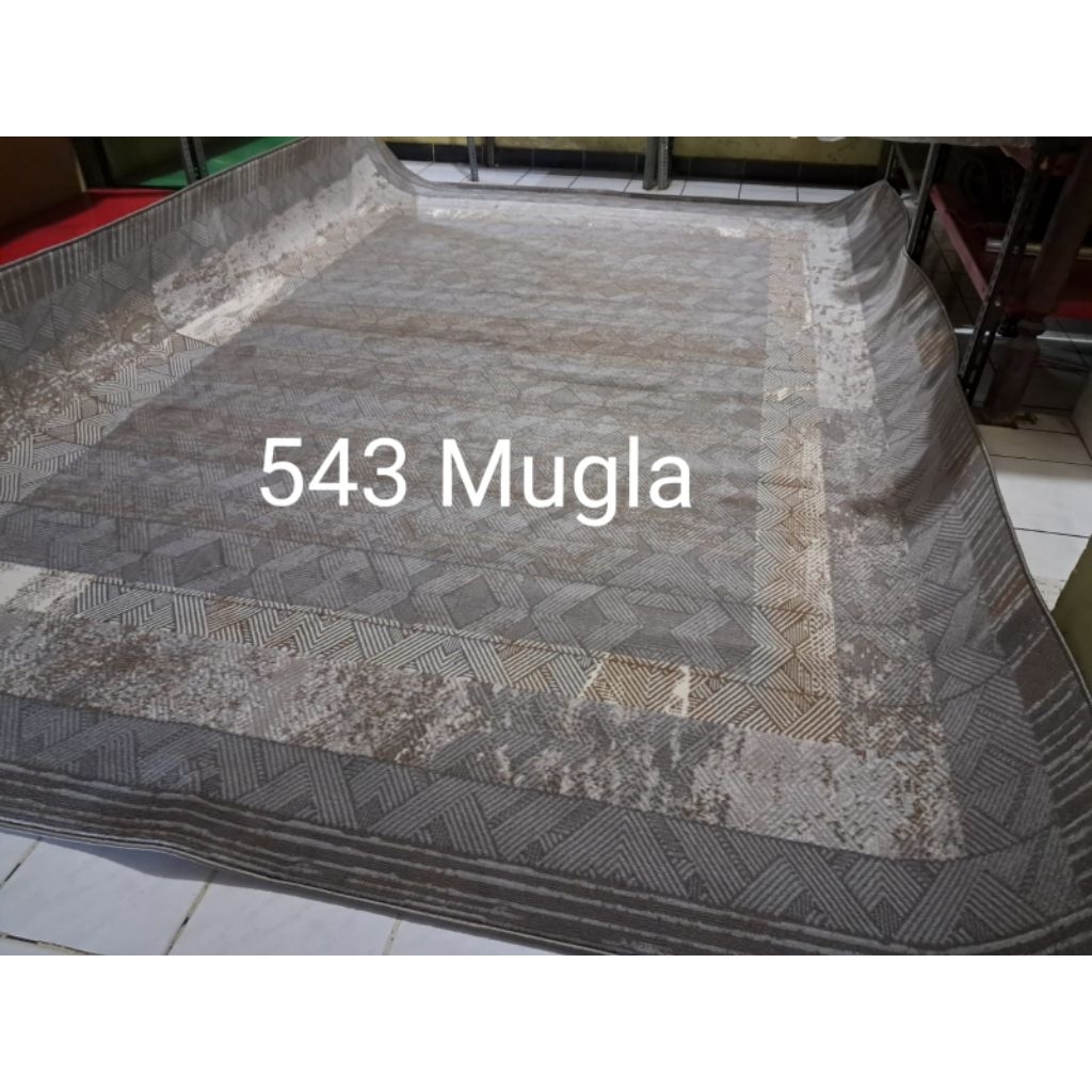 Jual Karpet Permadani Besar Super Mega Jumbo Minimalis Bianco 300x400 ...