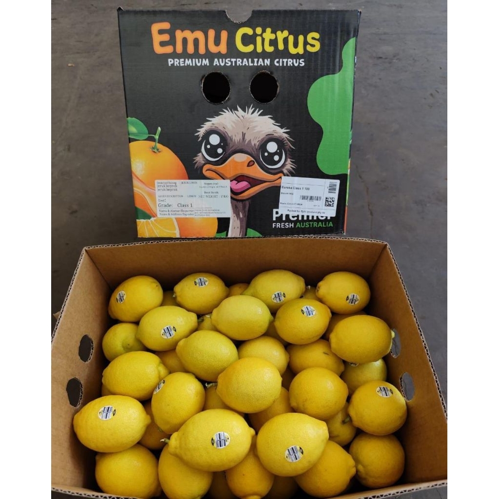 Jual lemon premium australia Emu citrus/kg | Shopee Indonesia