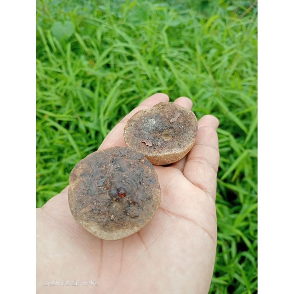 Jual batu halipan tapa | Shopee Indonesia