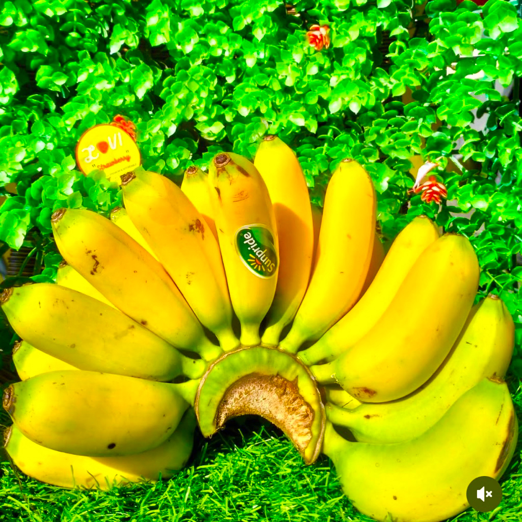 Jual PROMO Pisang Mas fresh 1sisir | Shopee Indonesia