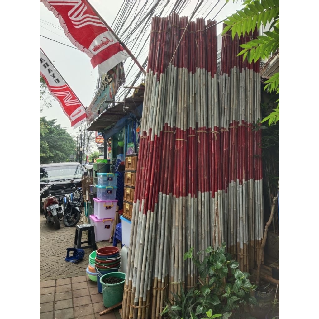 Jual BAMBU MERAH PUTIH 2 METER BAMBU BENDERA TIANG BENDERA BENDERA ...