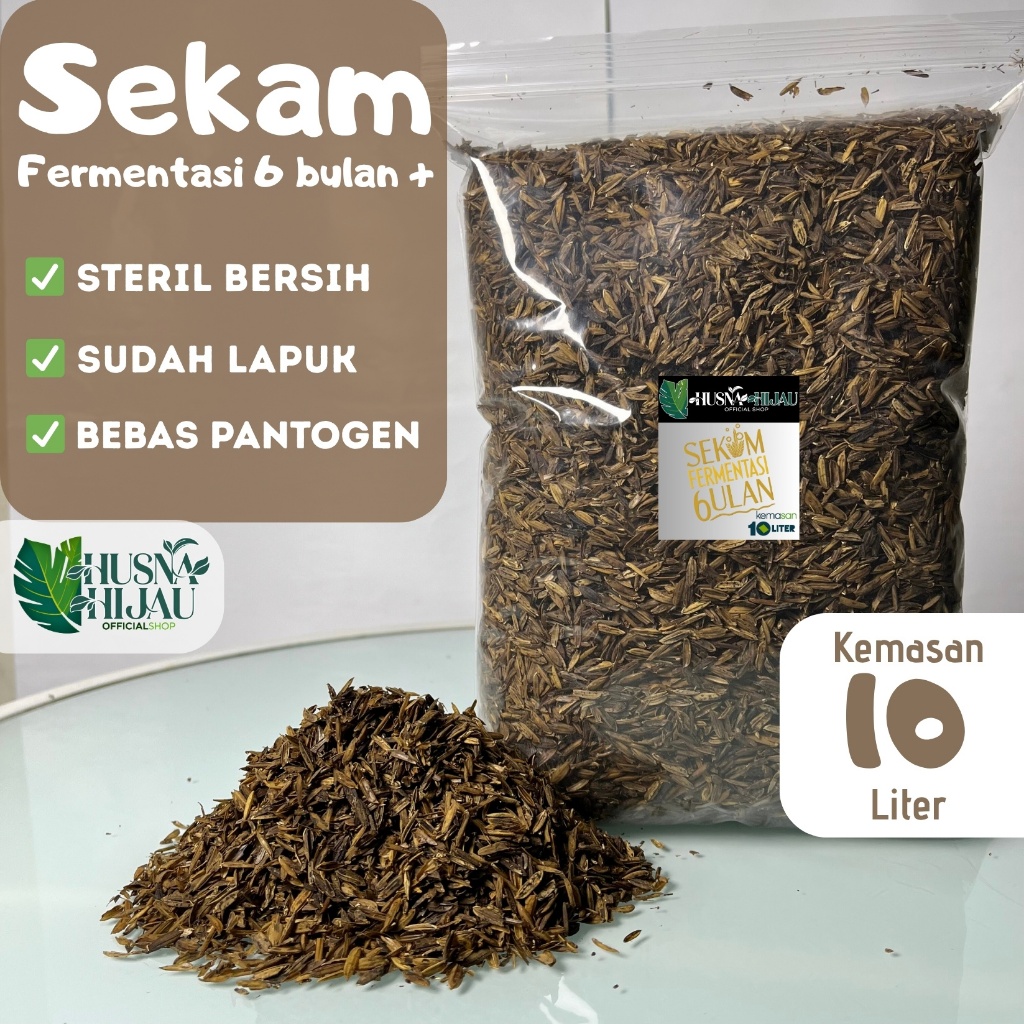 Jual SEKAM fermentasi 6 bulan, kemasan 10 liter, STERIL BERSIH INI ...