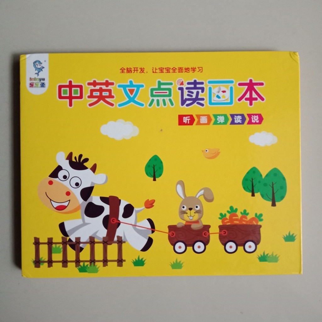 Jual SALE BUKU CHINESE ENGLISH VOCABULARY BOOK (ZHONG YING WEN DIAN DU ...
