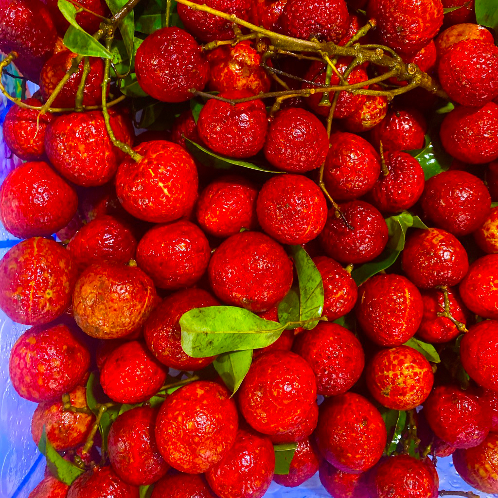 Jual Promo Leci Madu Merah Manis Fresh | Shopee Indonesia