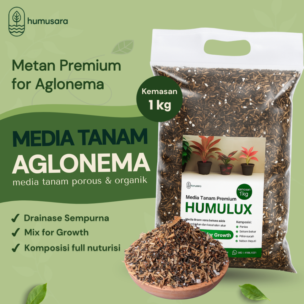 Jual Media Tanam Siap Pakai - HUMULUX Media Tanam Aglonema Siap Pakai ...